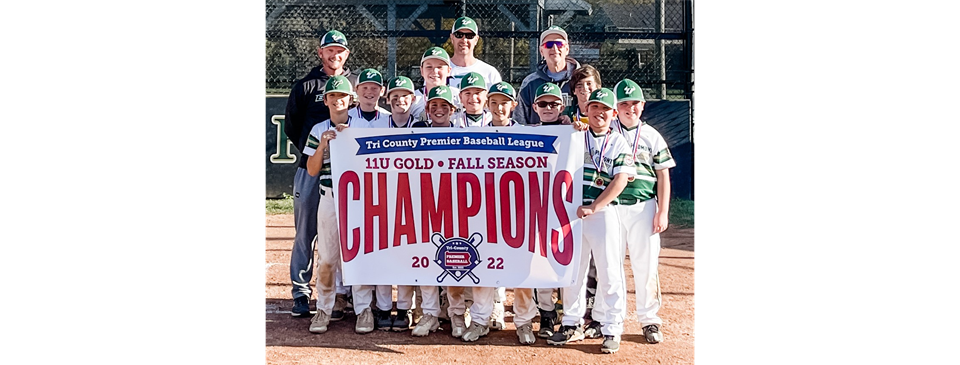 Home [www.piedmontbaseball.com]